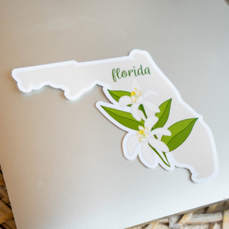 Florida Sticker - Etsy