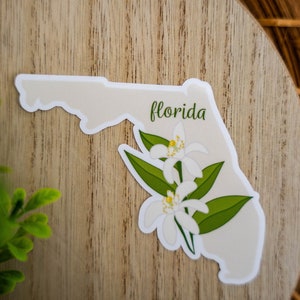 Florida State Sticker, Florida Sticker Decal, State Sticker, Orange ...