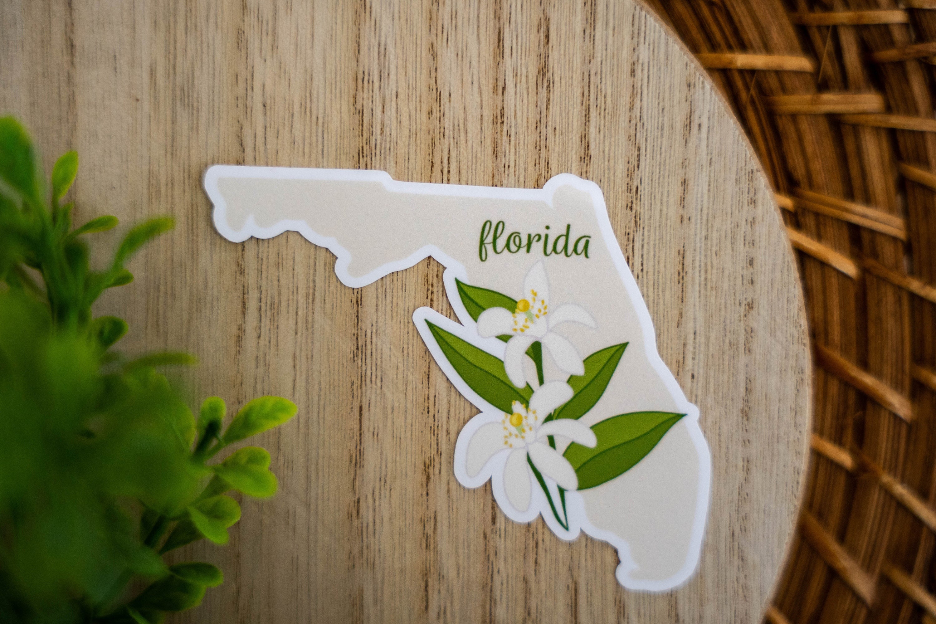 Florida State Sticker, Florida Sticker Decal, State Sticker, Orange ...