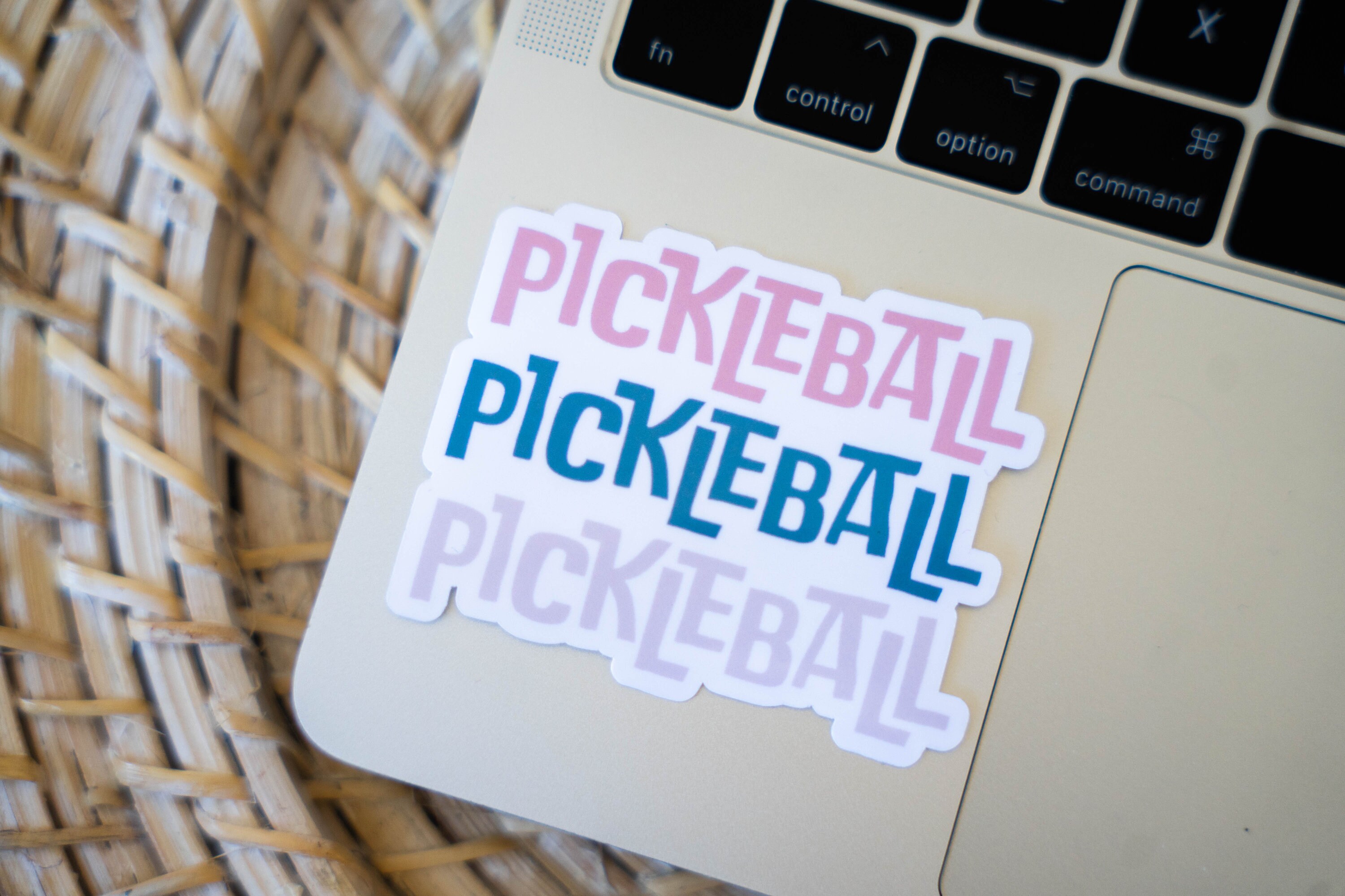 Pickleball Sticker, Pickleball Decal, Pickleball Gifts for Women ...
