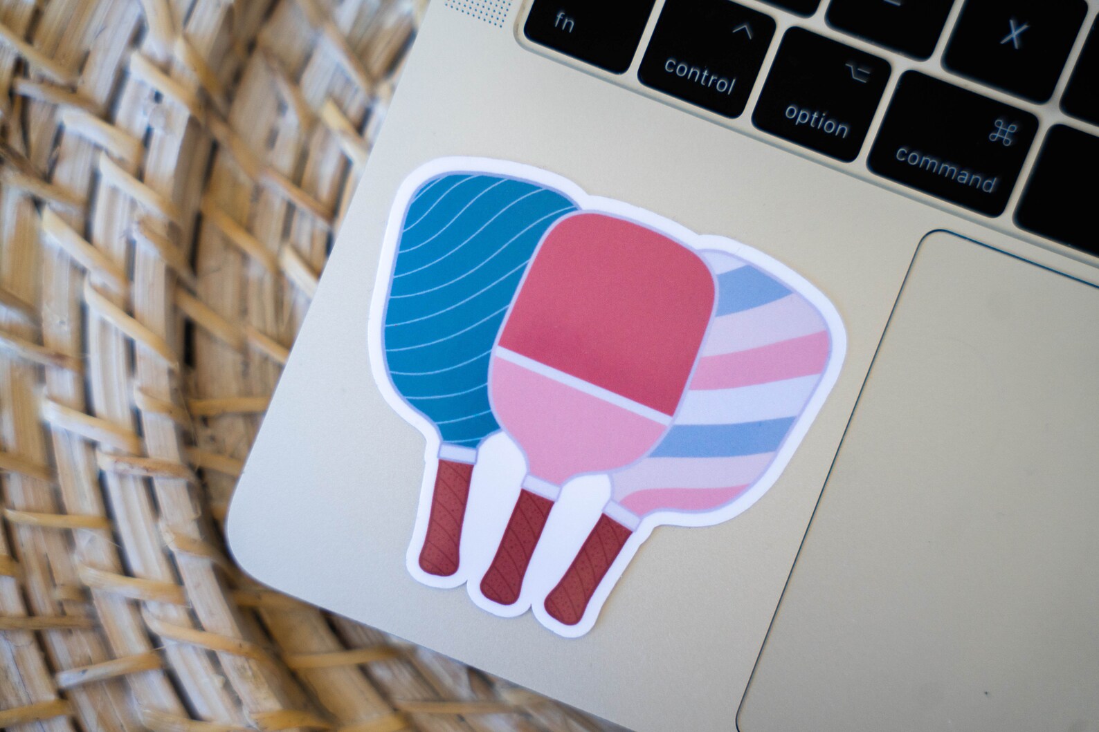 Pickleball Paddles Sticker Pickleball Sticker Pickleball - Etsy