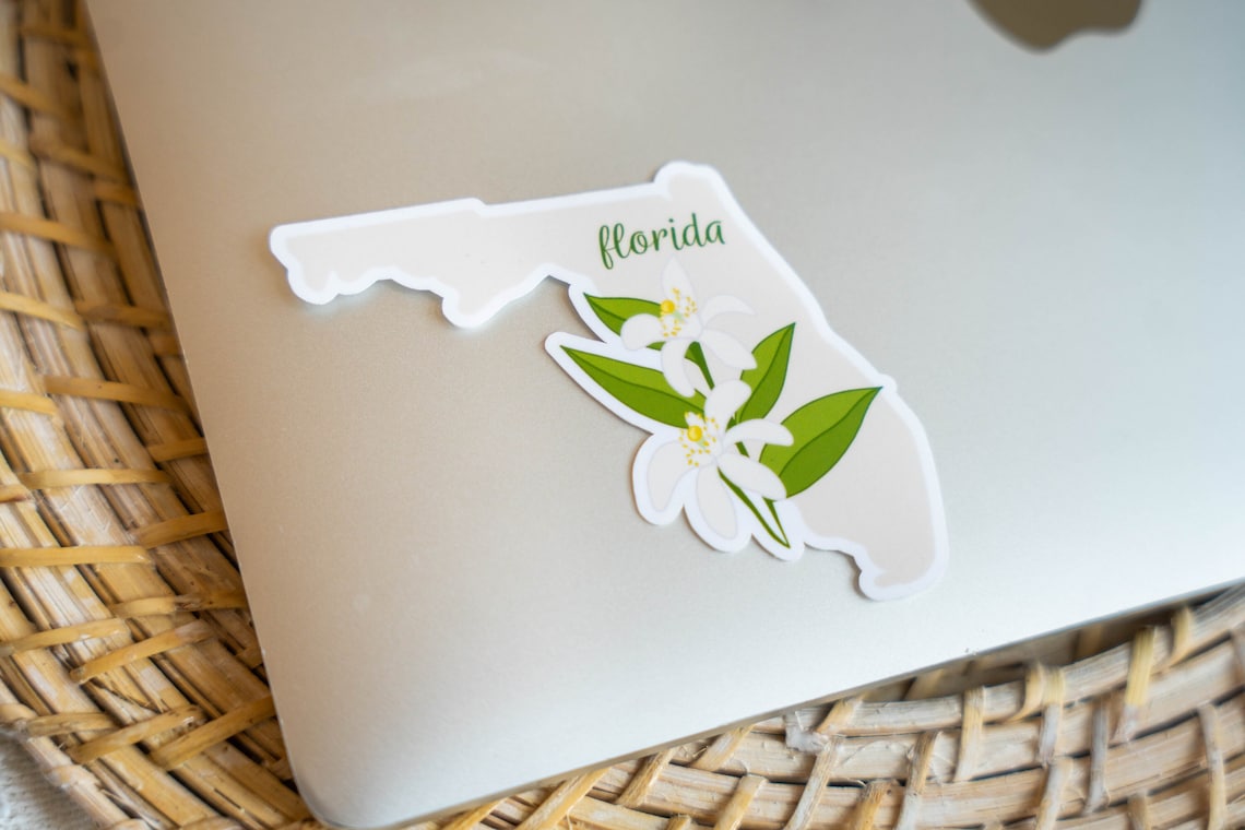 Florida State Sticker, Florida Sticker Decal, State Sticker, Orange ...