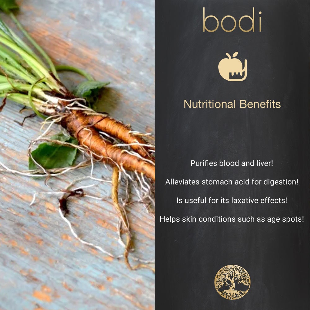 Yellow Dock Root Powder 4oz to 5lb 100% Pure Natural Wild - Etsy