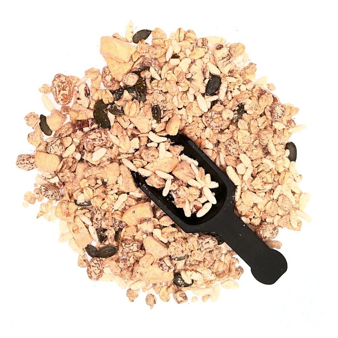Cereal Oat Honey Apple Raisin Pumpkin Pecan | Packet | 100% Pure ...