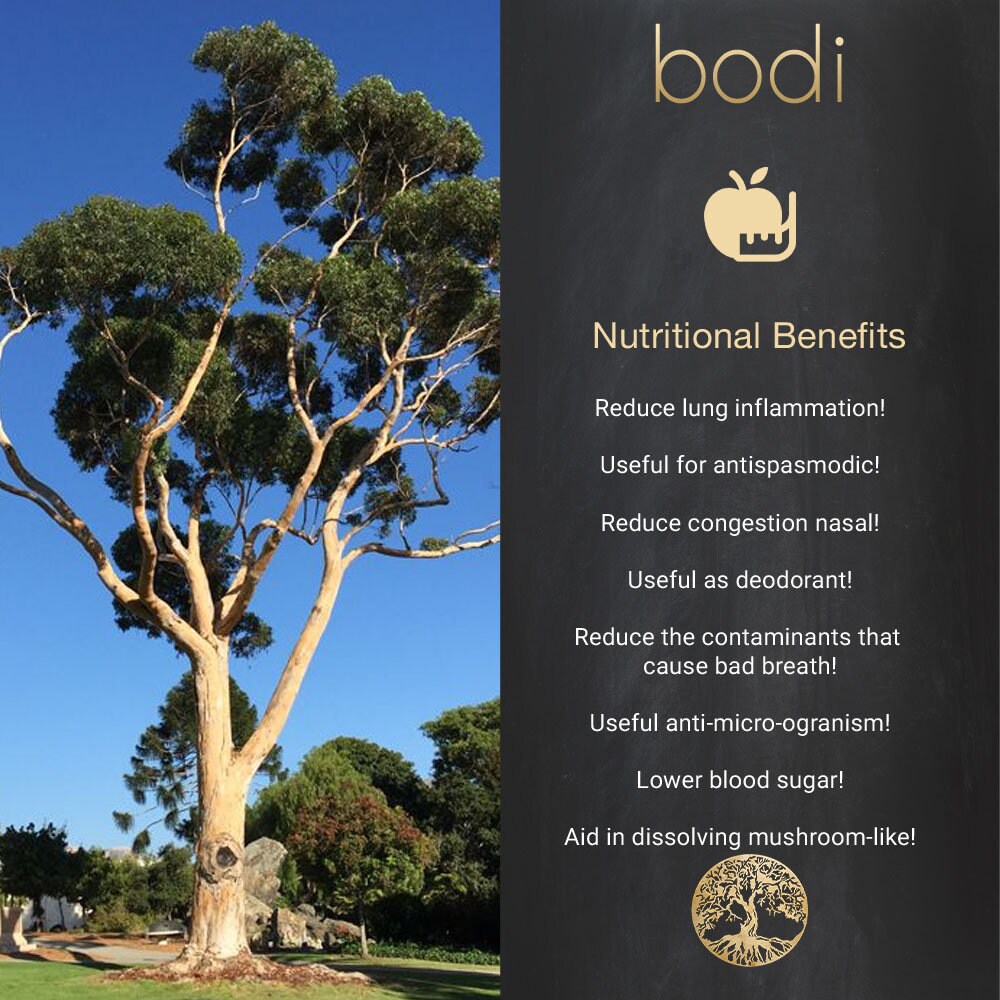 Eucalyptus Leaf Powder 4oz to 5lb 100% Pure Natural Hand - Etsy UK