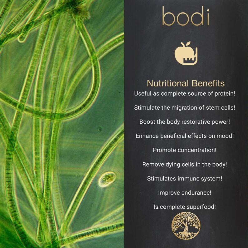 Blue Green Algae AFA Powder 2oz to 5lb 100% Pure Natural - Etsy