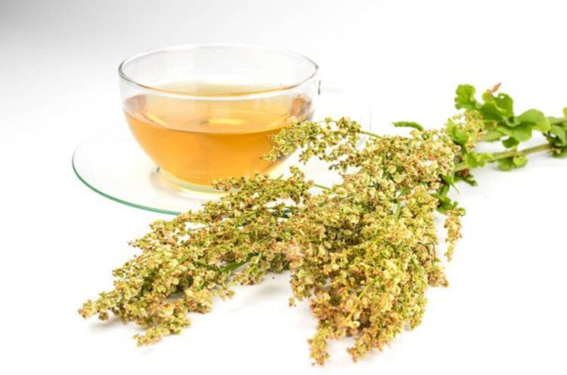 Yellow Dock Root Powder 4oz to 5lb 100% Pure Natural Wild - Etsy