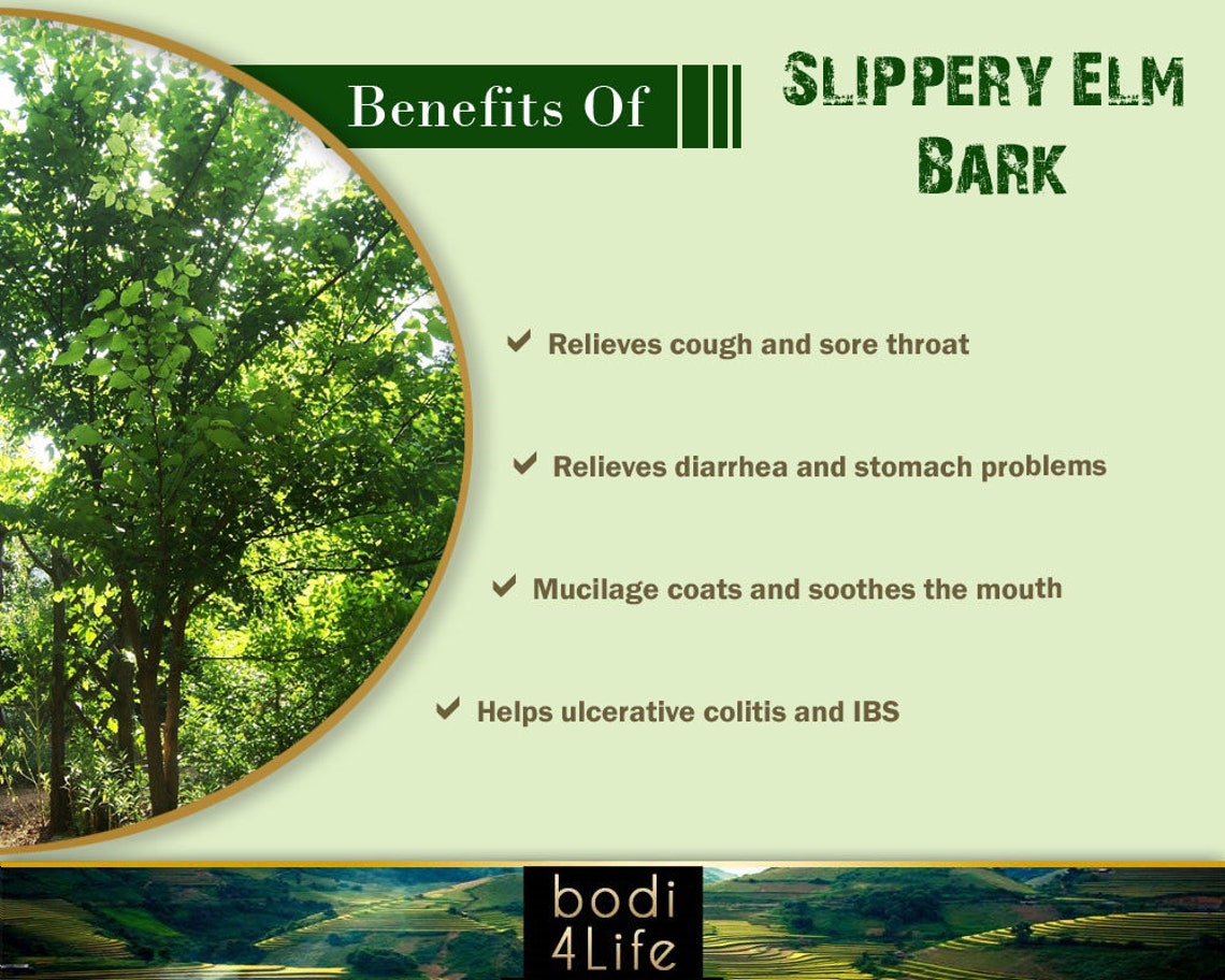 Slippery Elm Inner Bark Powder 4oz to 2lb 100% Pure | Etsy