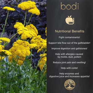 Yarrow Flower Powder 4oz to 5lb 100% Pure Natural Hand - Etsy