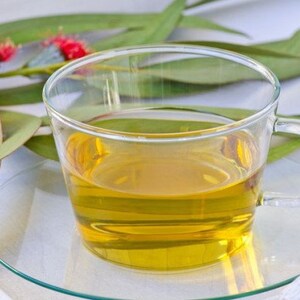 Eucalyptus Leaf Powder | 4oz to 5lb | 100% Pure Natural Hand Crafted - Etsy