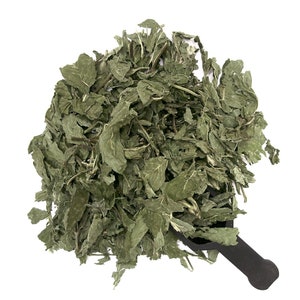 Mint Leaf Tea Bags | 100% Pure Natural Hand Crafted - Etsy