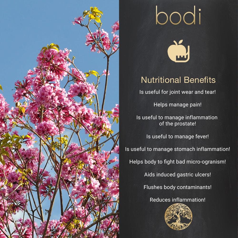 Pau D Arco Bark Powder 4oz to 5lb 100% Pure Natural Wild - Etsy