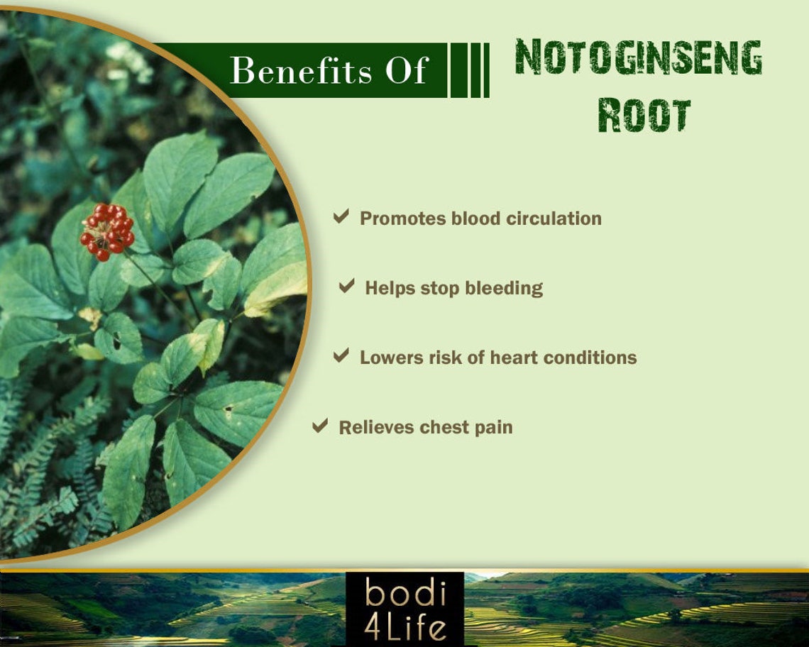 Notoginseng Root 80% Notoginsenosides Powder 2oz to 2lb | Etsy
