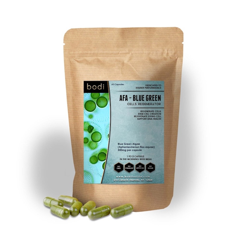 Guruko Derito Algae - Etsy Canada