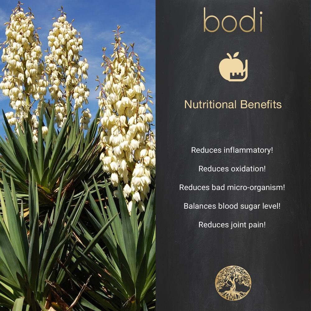 Yucca Root Fine Powder 4oz to 5lb 100% Pure Natural Hand - Etsy