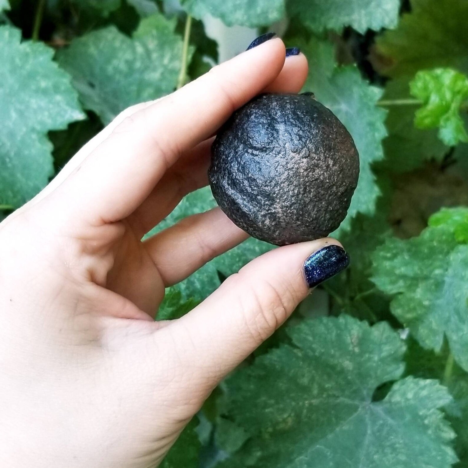 Moqui Marbles Set-of-2 Shaman Stones Moki Balls Sandstone - Etsy