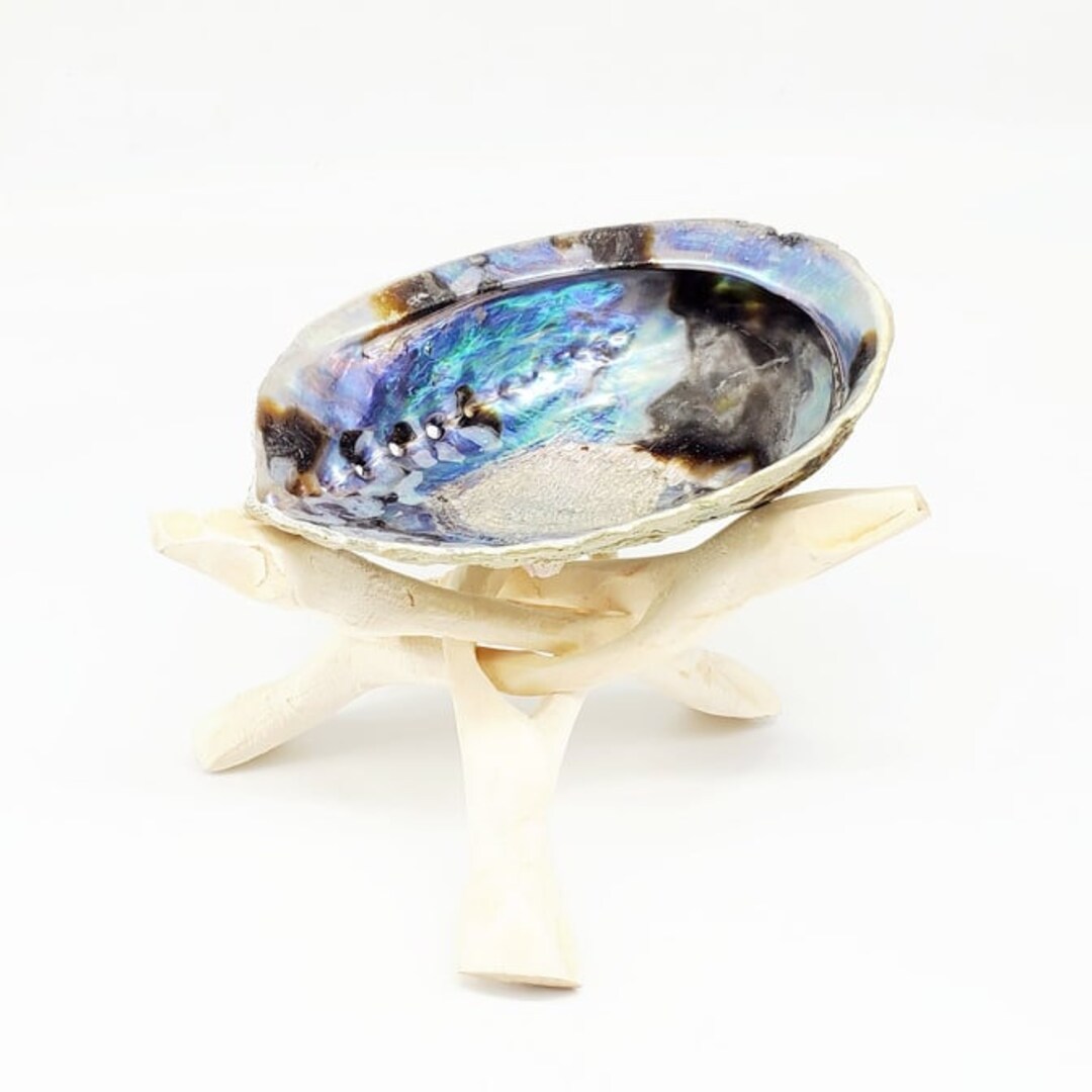 Abalone Shell With Wooden Tripod Stand, Large Rainbow Seashell Smudging ...