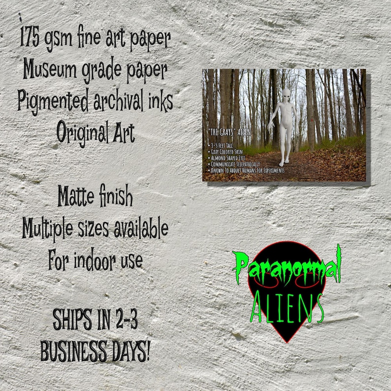 Gray Alien Poster | Ufology Informational Wall Art| UFO Lover Gift ...