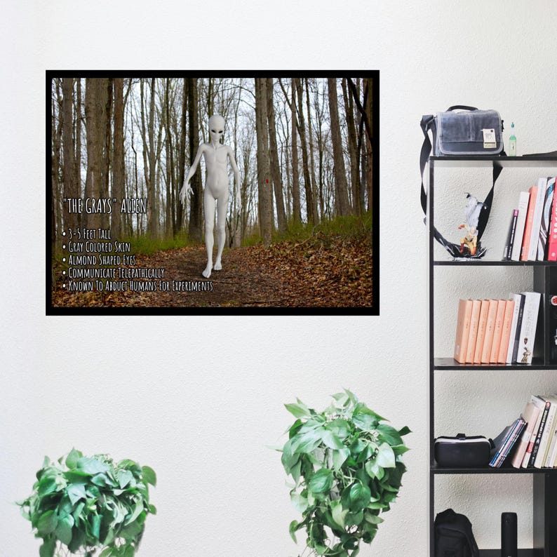 Gray Alien Poster | Ufology Informational Wall Art| UFO Lover Gift ...