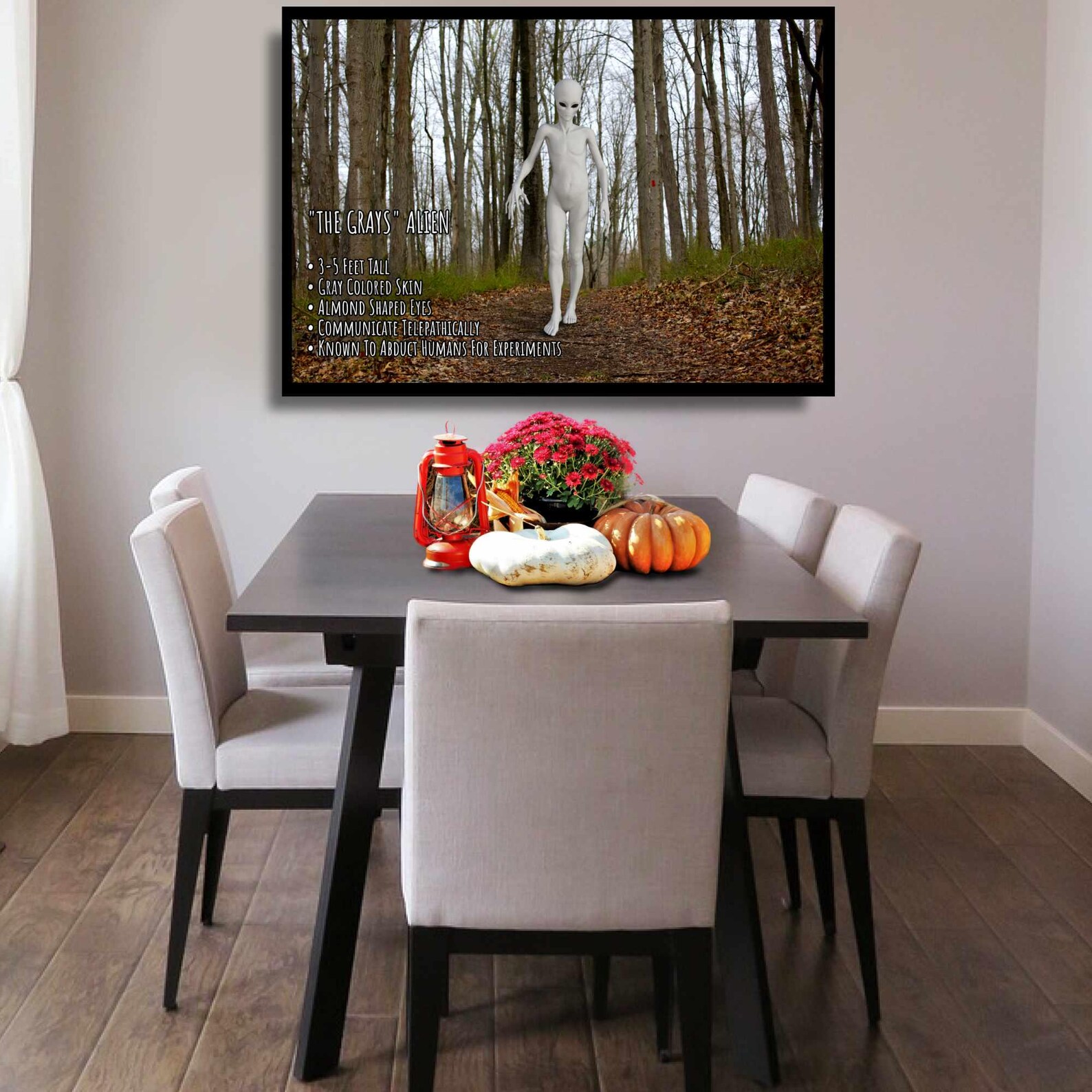 Gray Alien Poster | Ufology Informational Wall Art| UFO Lover Gift ...