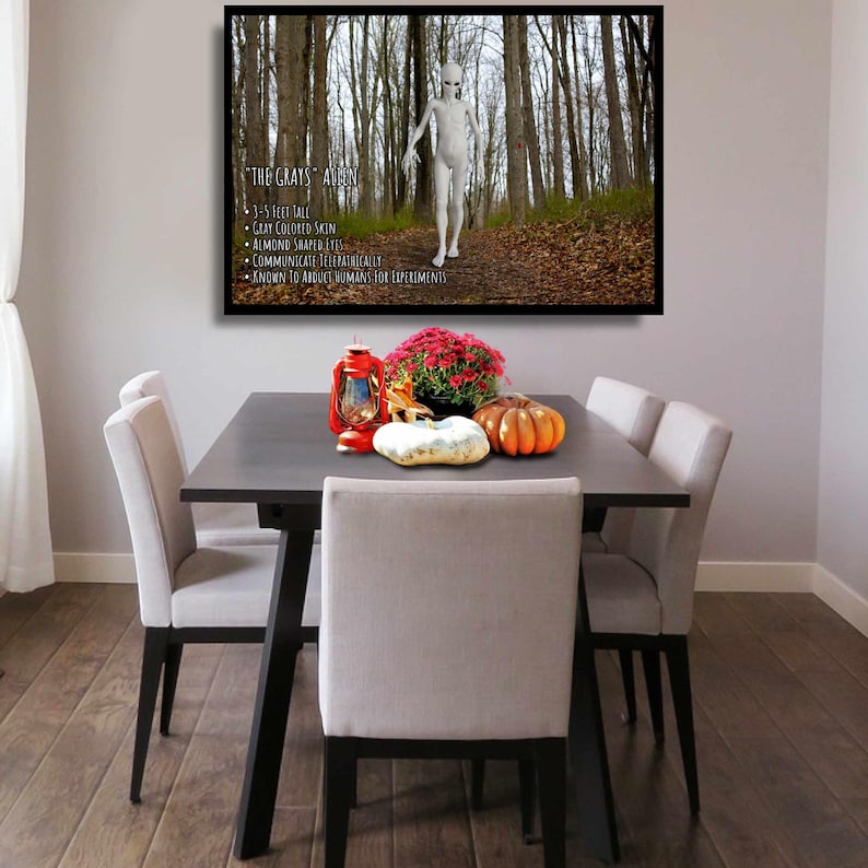 Gray Alien Poster | Ufology Informational Wall Art| UFO Lover Gift ...