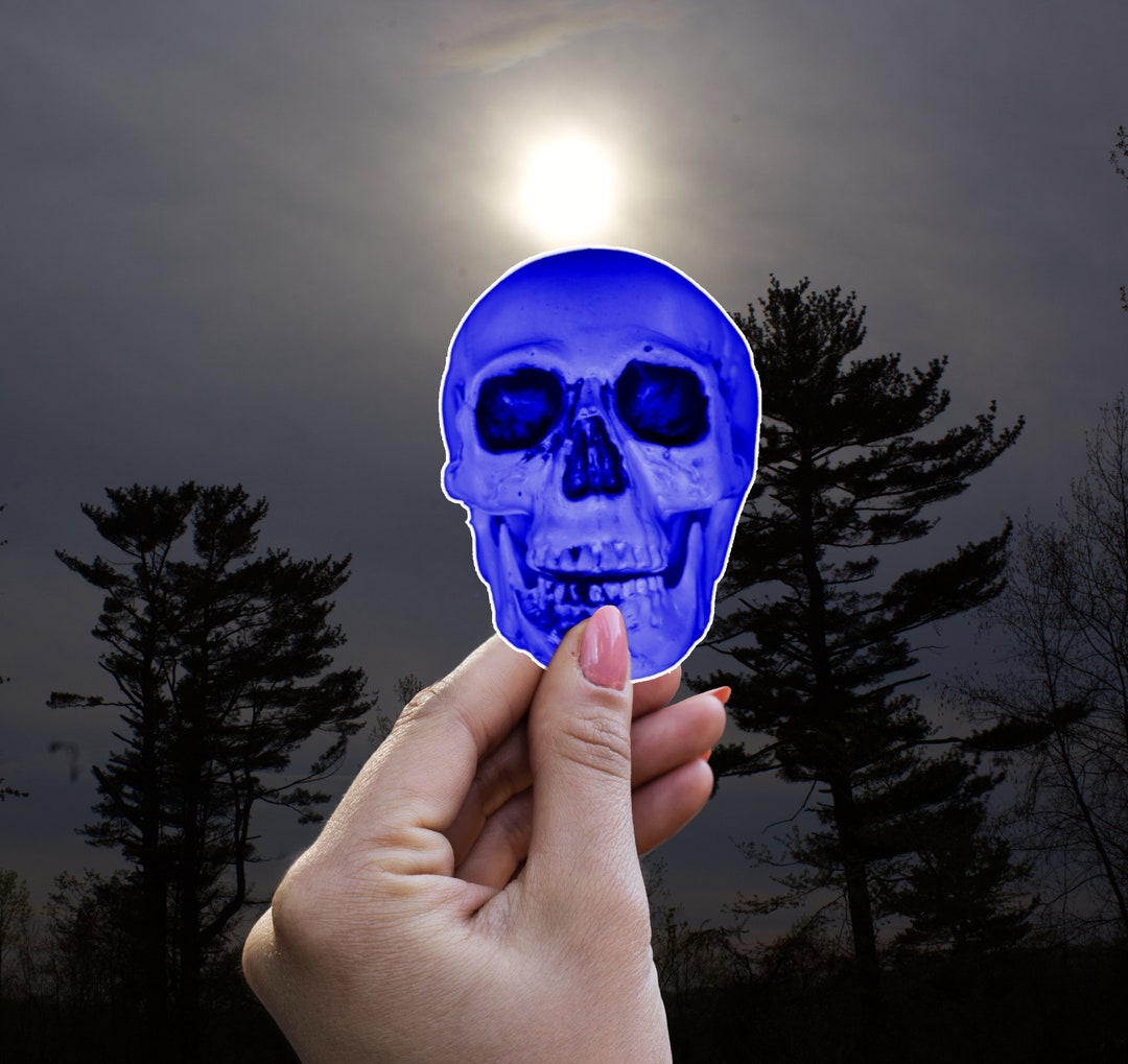 Purple Skull Sticker Waterproof Decal for Tumbler Creepy Horror Gift ...