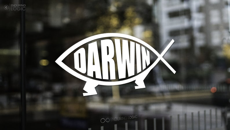 Darwin Evolve Fish Logo Decal Evolution Charles Darwin - Etsy