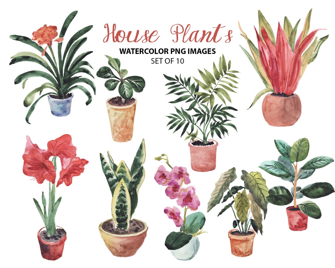 Watercolor House Plants Clipart Indoor Plants Clip Art - Etsy