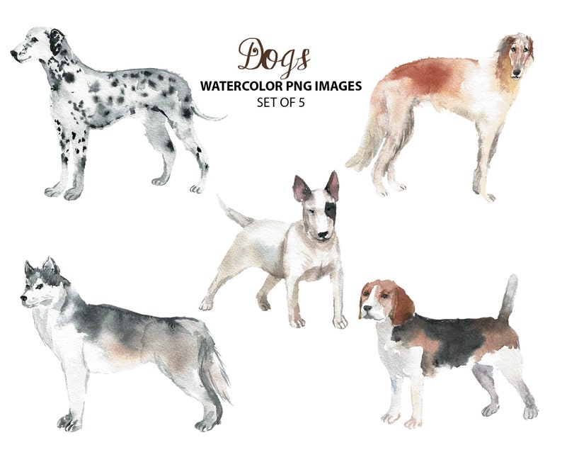 Cute Dog Clipart Watercolor Animal Clip Art Pets Watercolor ...