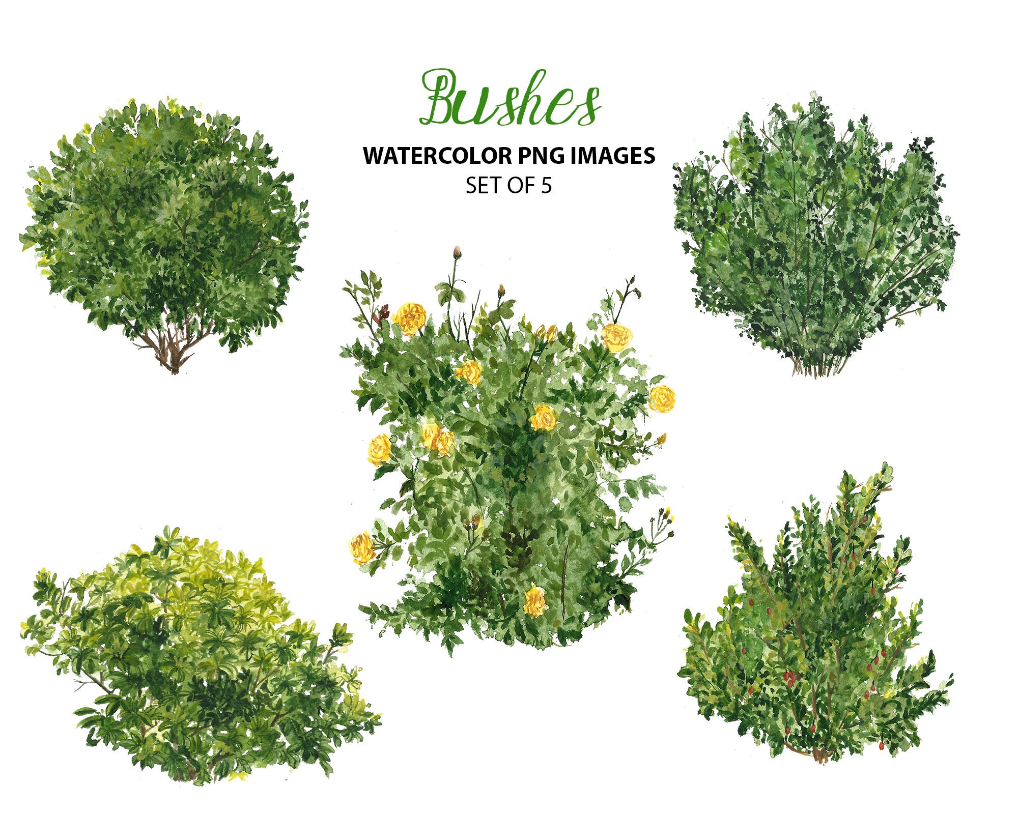 Bush Plant Clip Art