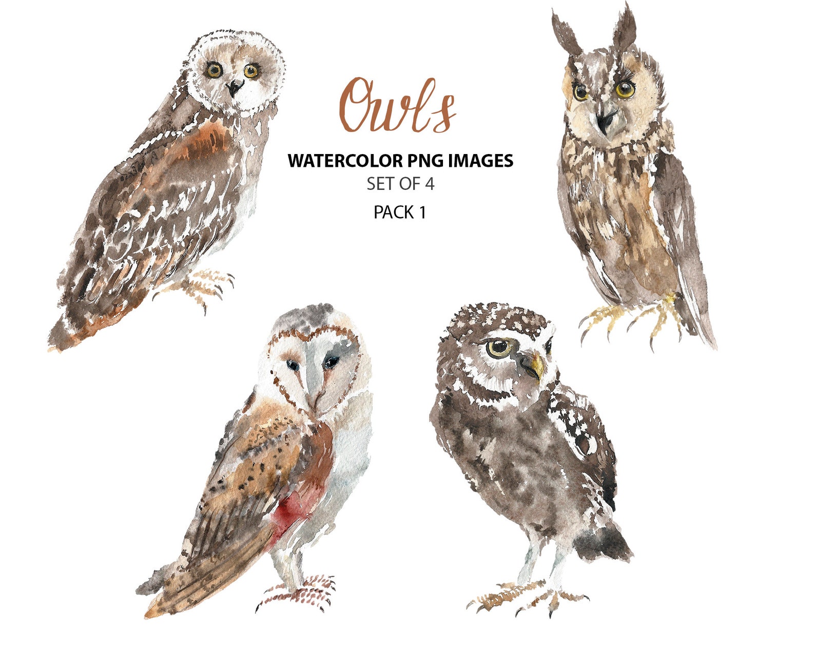 Owl Watercolor Images Animal Clip Art Bird Clipart - Etsy