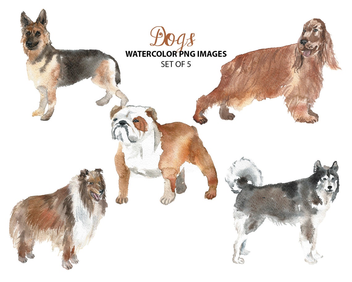 Cute Dog Clipart Watercolor Animal Clip Art Pets Watercolor ...