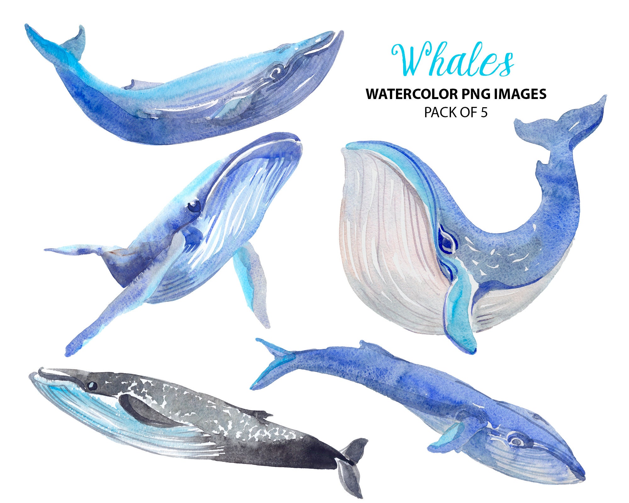 Watercolor Whales Clip Art Nautical Clipart Marine | Etsy