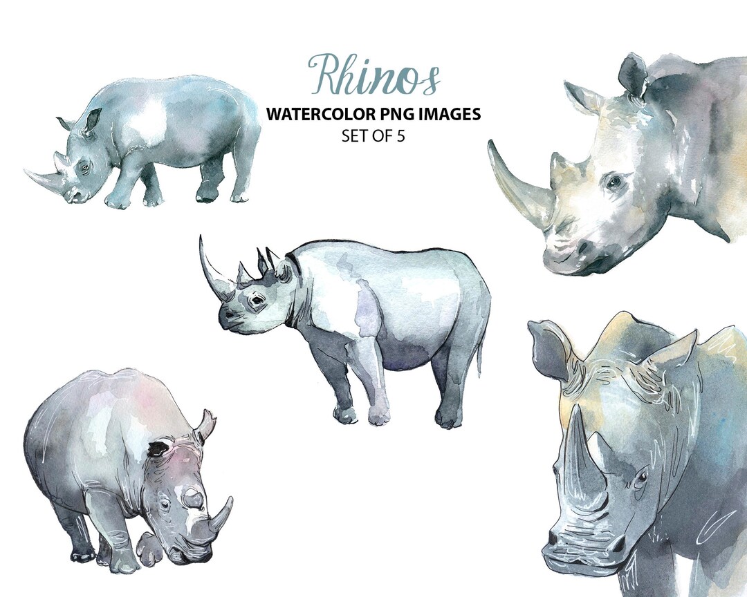Watercolor Rhino Clipart Safari Nursery Clipart Cute Animal ...