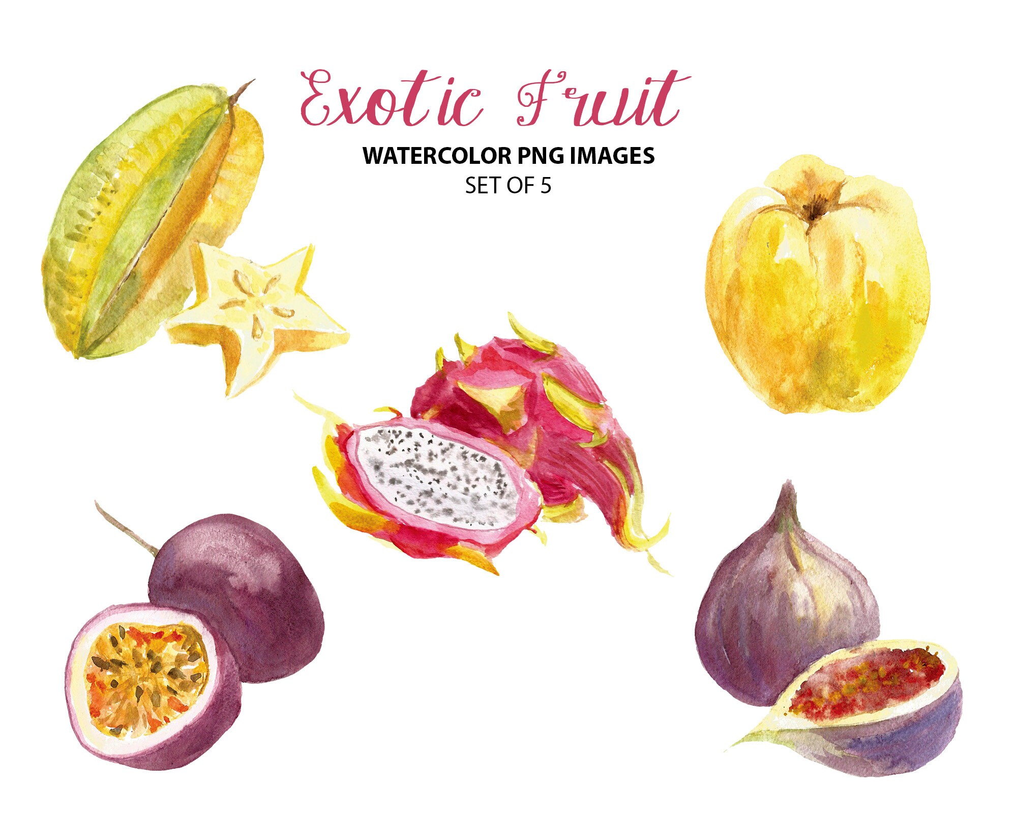 Beautiful Exotic Fruit Clipart Watercolor Food Clip Art - Etsy