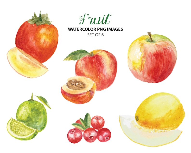 Summer Fruit Clipart Watercolor Food Clip Art Summer - Etsy