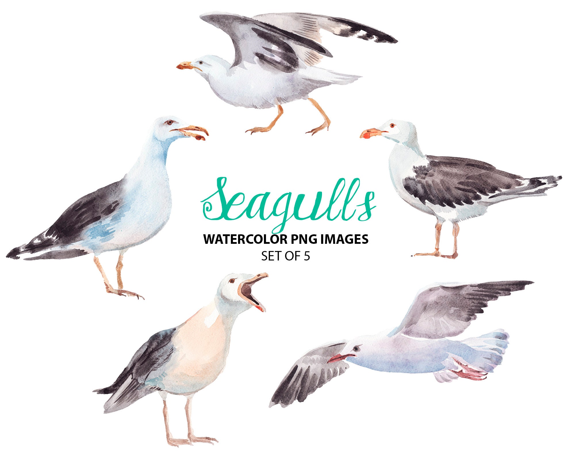Seagull Clipart Nautical Seaside Clip Art Watercolor Bird - Etsy