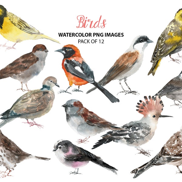 Cute Bird Clip Art - Etsy