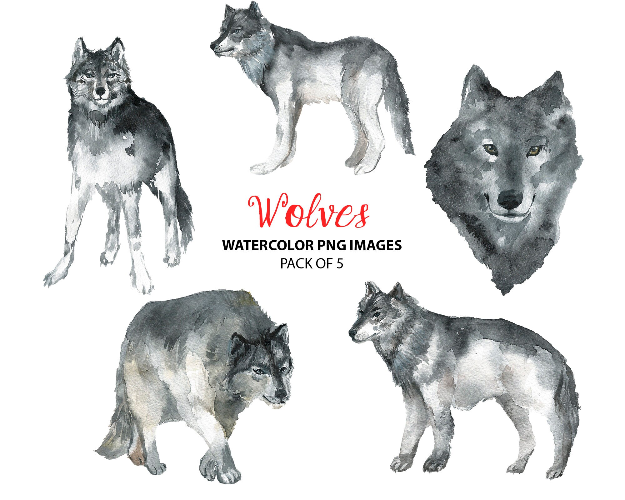 Watercolor Wolf Clipart Woodland Nursery Clipart Wildlife Animal ...