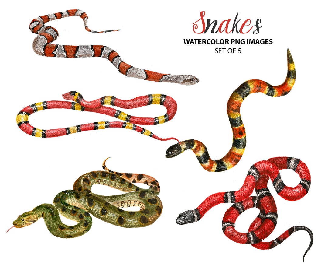 Red Snake Clipart Mascot