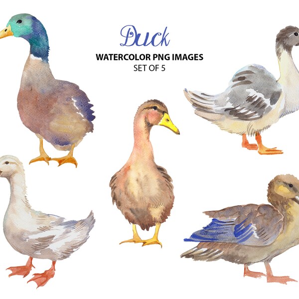 Duck Clip Art - Etsy