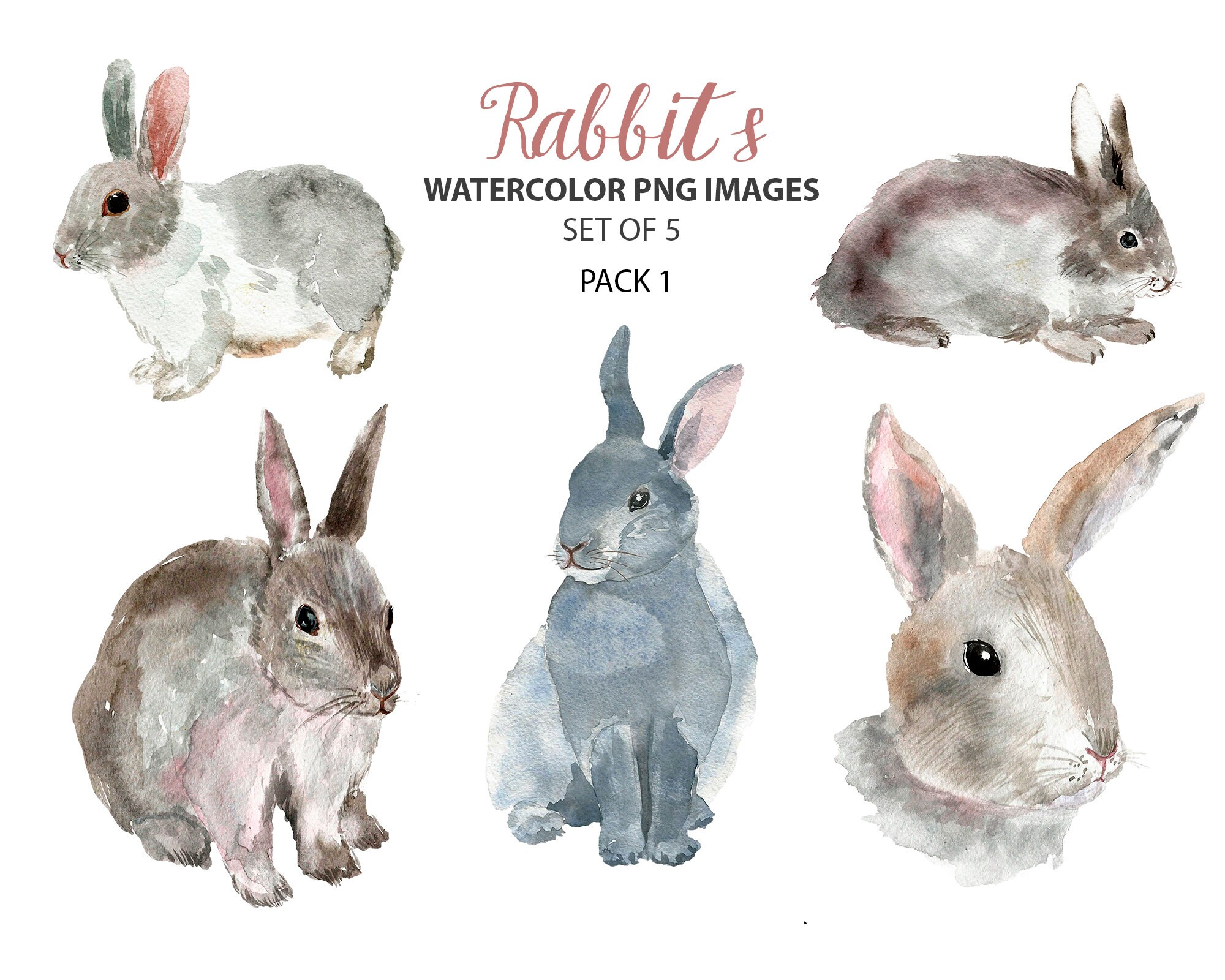 Cute Watercolor Rabbits Clipart Animals Clip Art Countryside Clip Art ...