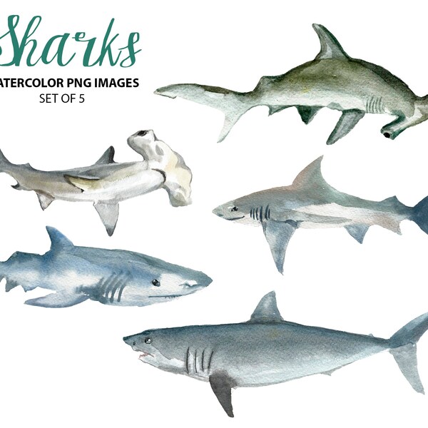 Nautical Clipart - Etsy