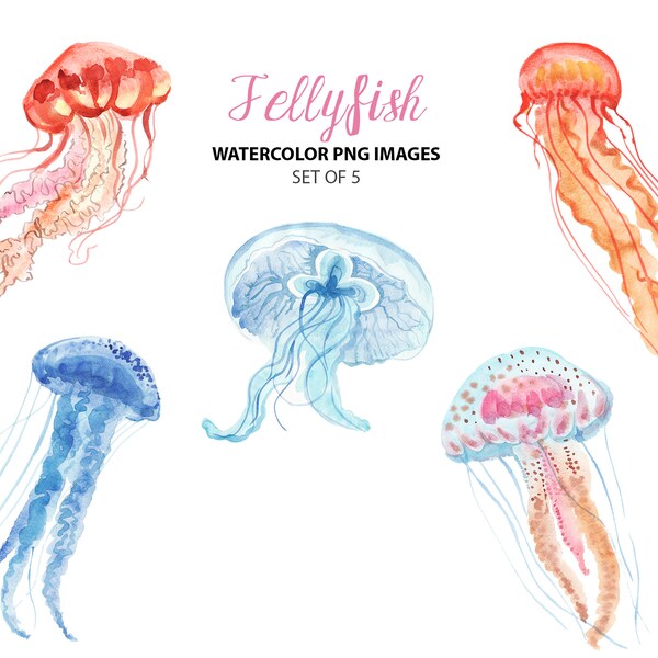Watercolor Jellyfish - Etsy