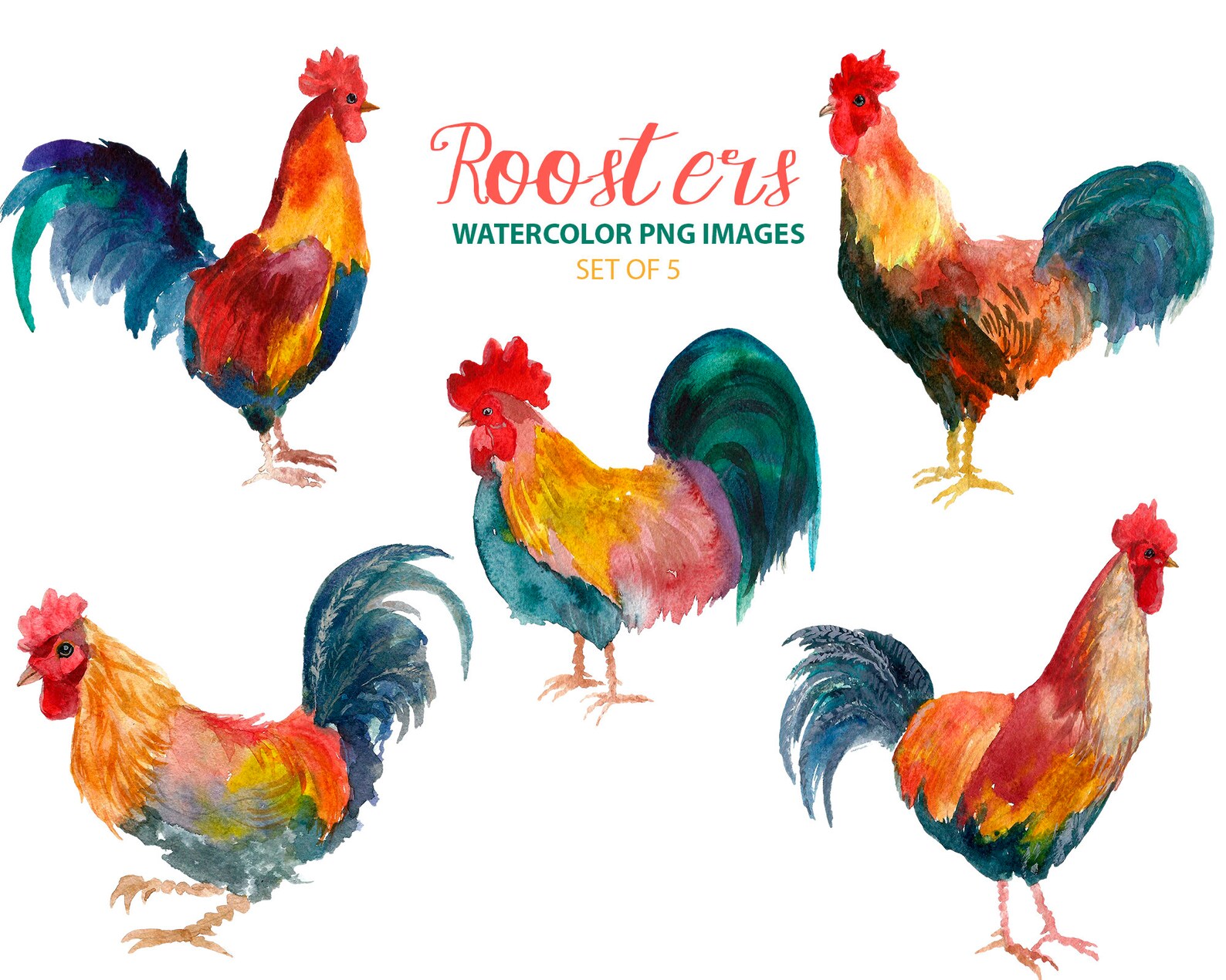 Cute Roosters Clipart countryside Nursery Illustration Farm - Etsy