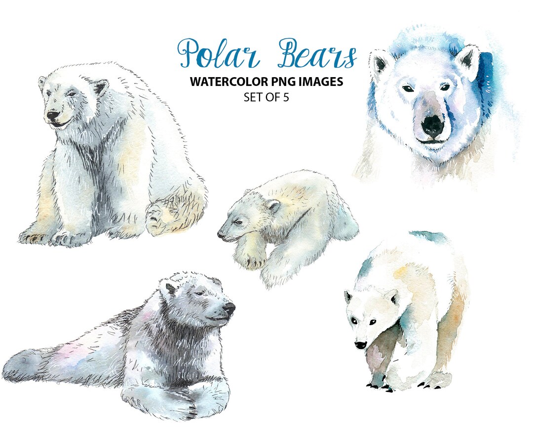 Beautiful Polar Bear Clipart Watercolor Animal Clip Art Cute Nature ...