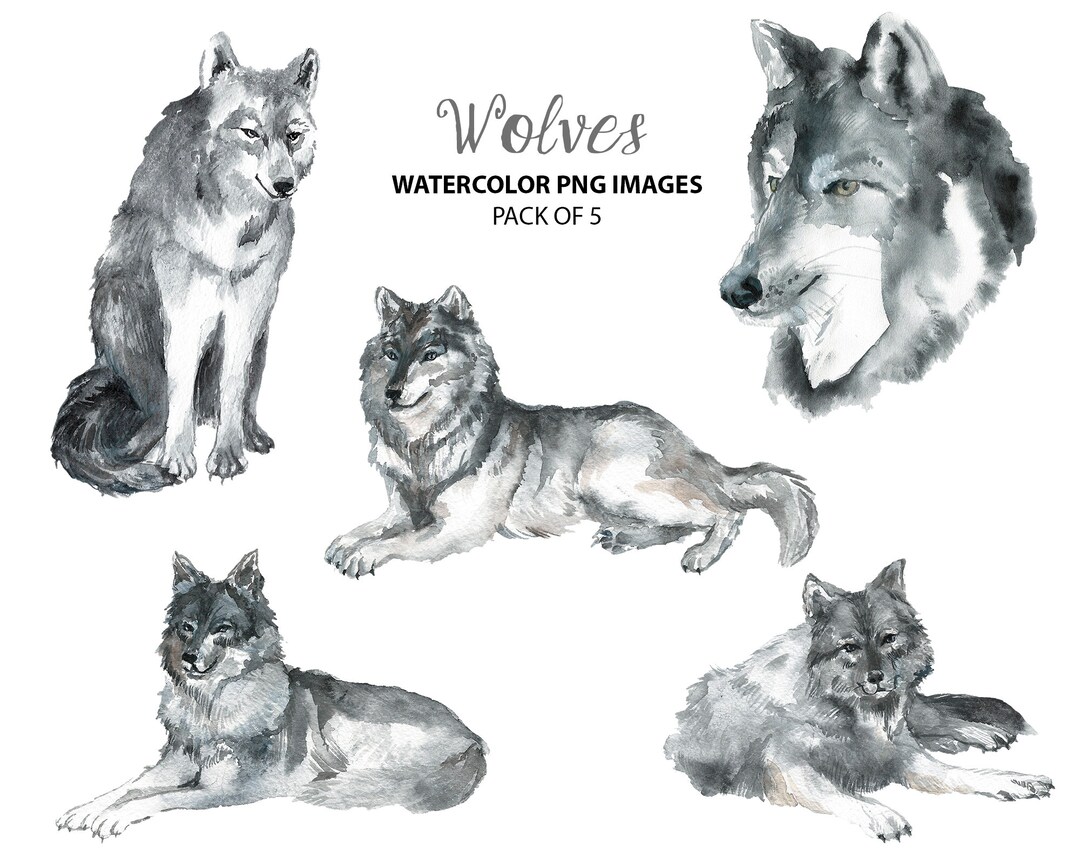 Watercolor Wolf Clipart Woodland Nursery Illustration - Etsy