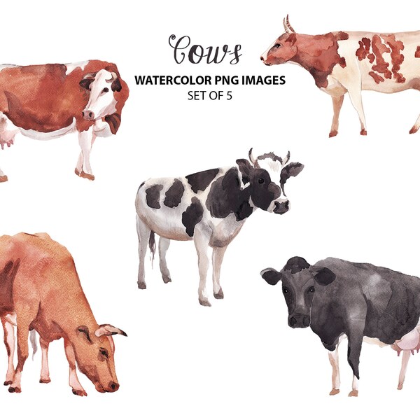 Watercolor Cow - Etsy