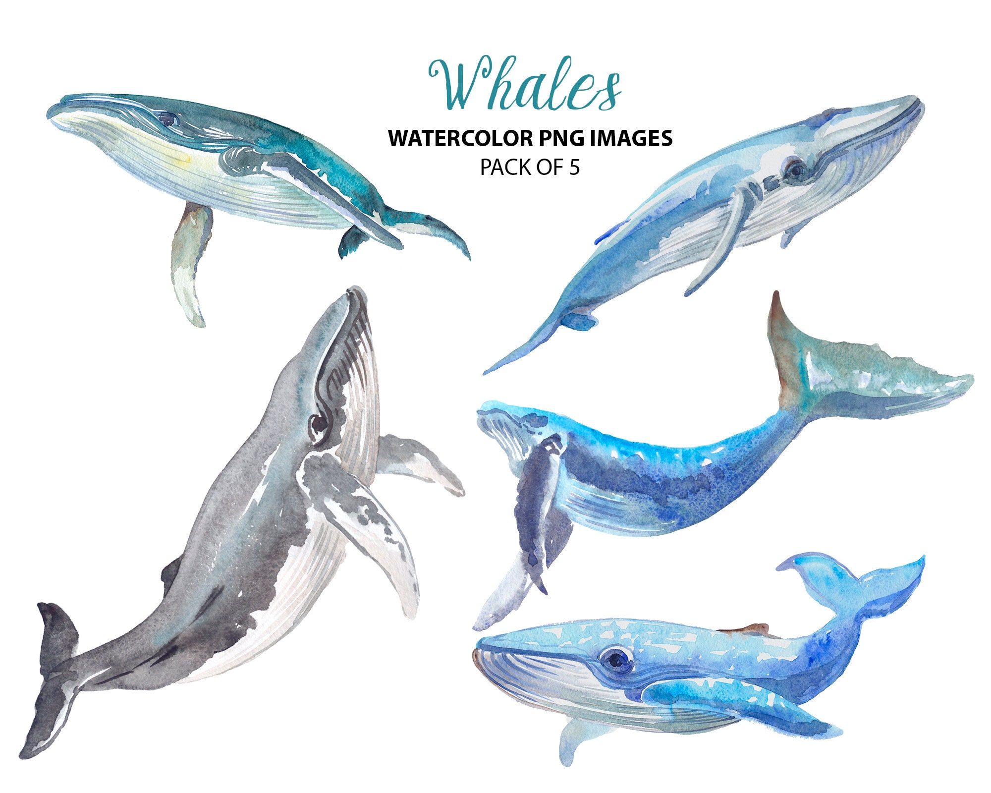 Craft Supplies & Tools Paper, Party & Kids Watercolor Whales clipart ...