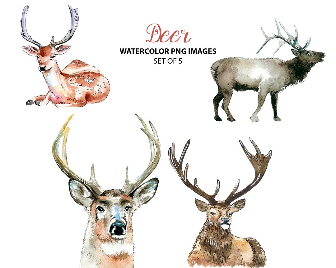 Beautiful Deer Clipart Watercolor Animal Clip Art Cute Nature ...